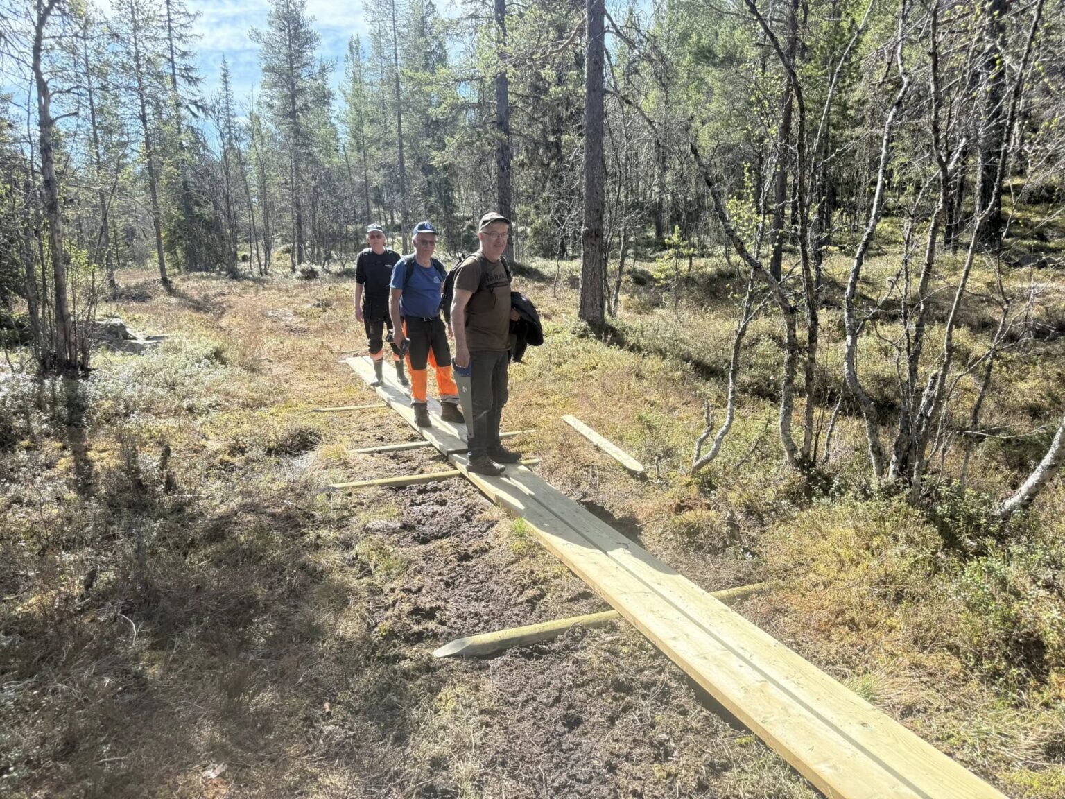 Klopping på bløte myrer. - Alvdal Turforening