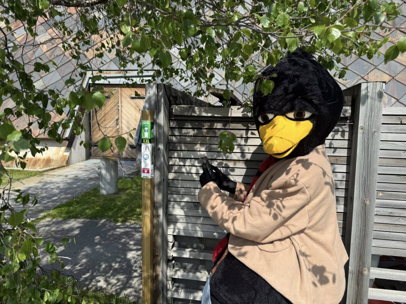 Solan Gundersen åpnet Stolpejakten 2025 ved Huset Aukrust. - Alvdal ...